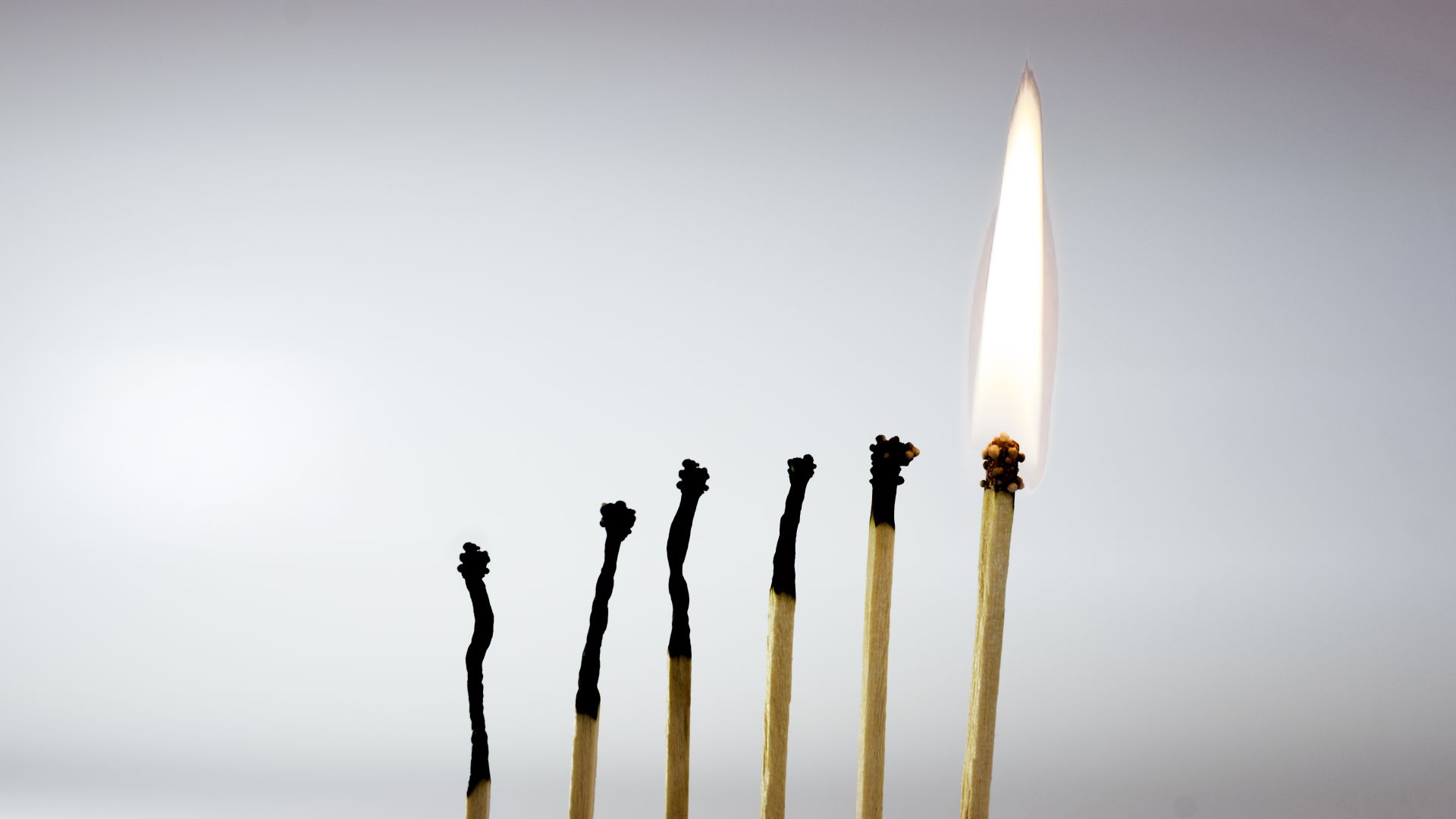 XIV. Capturing the modeling impact of NOLs