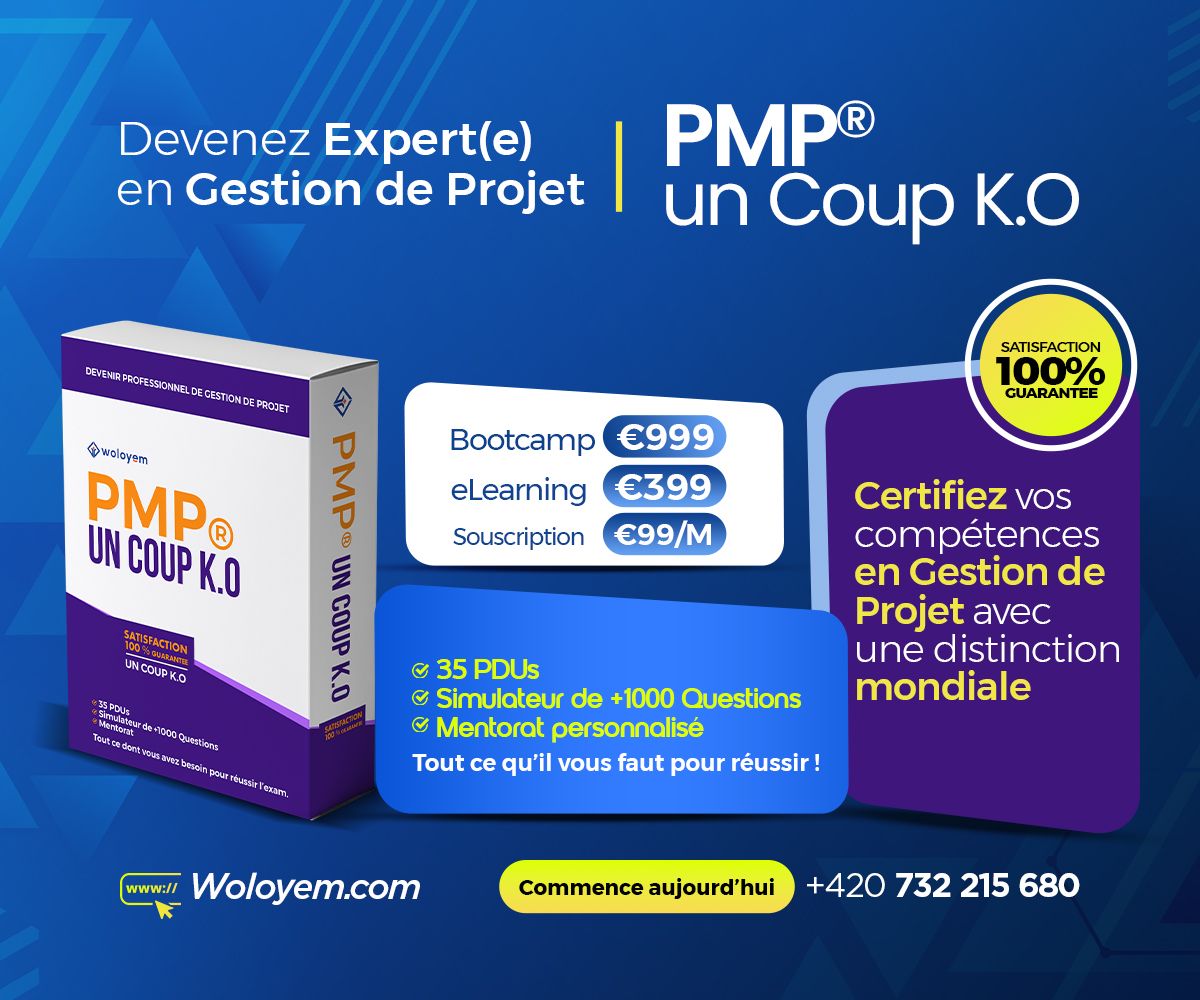 Formation PMP® en Français - Obtenez votre Certification Facilement