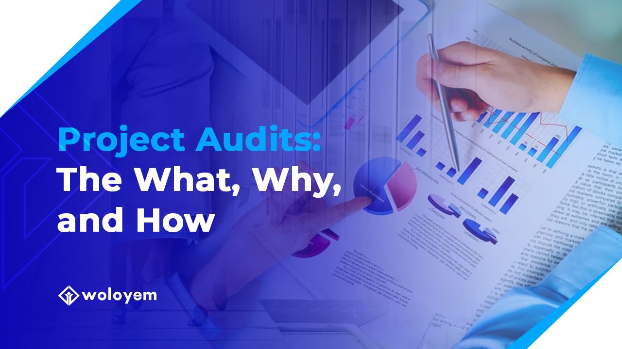 Project Audits: The What, Why, and How