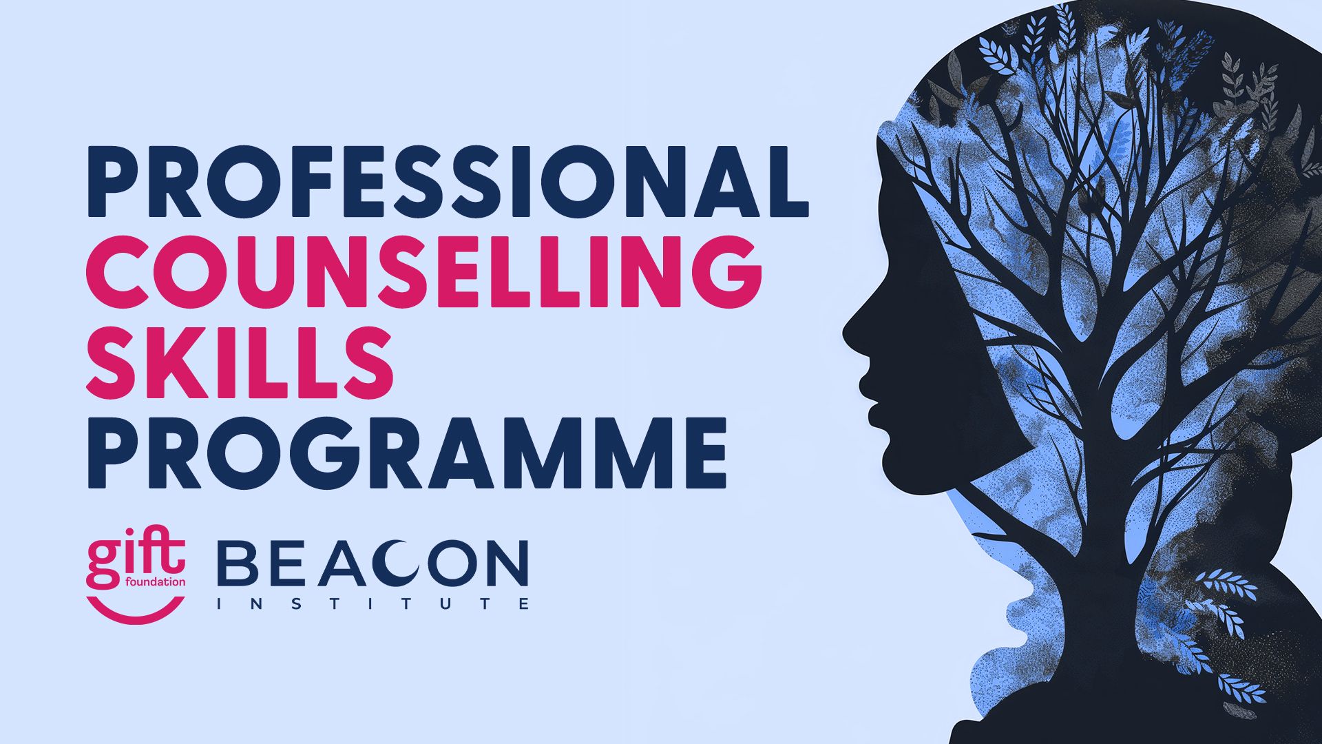 Professional Counselling Skills Programme