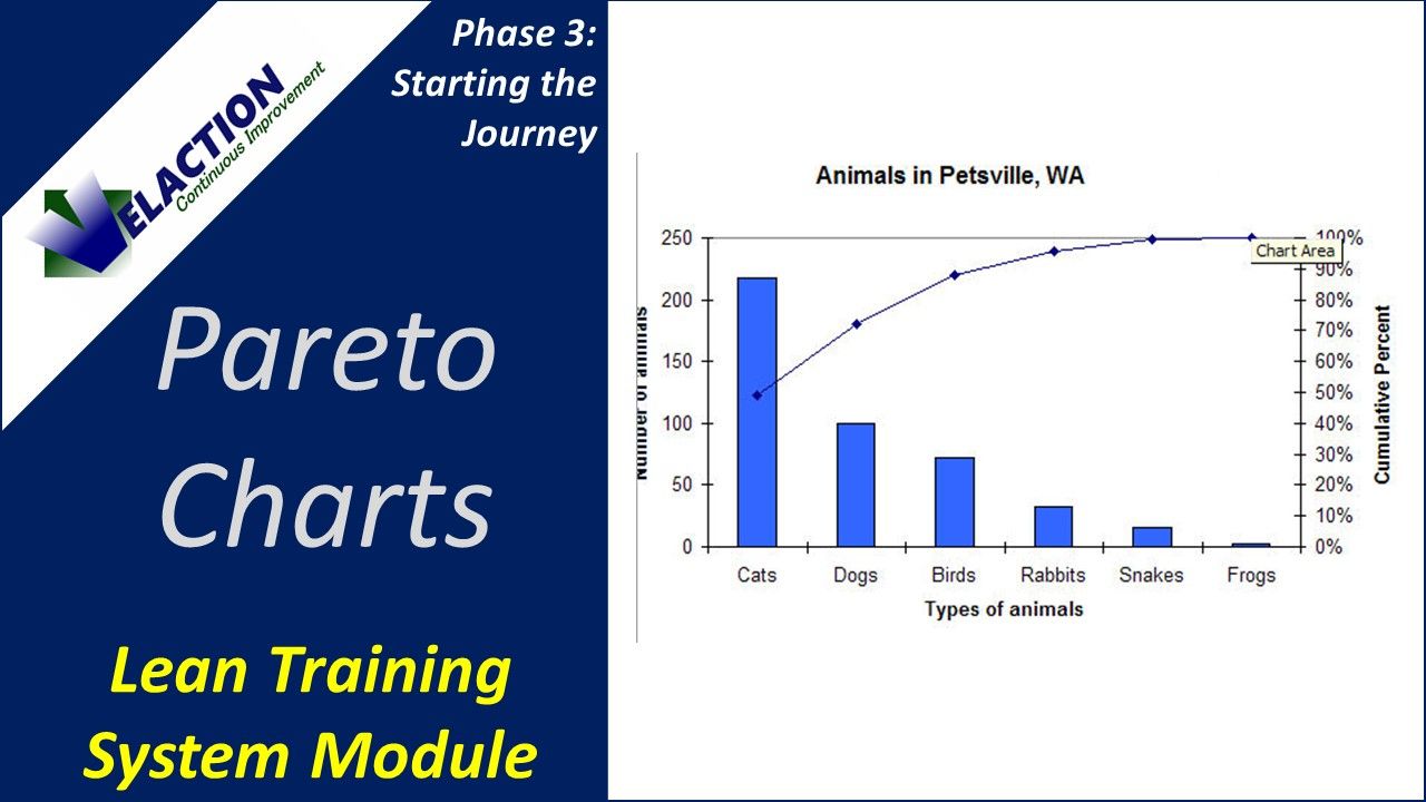 The 5 Steps to Making an Effective Pareto Chart