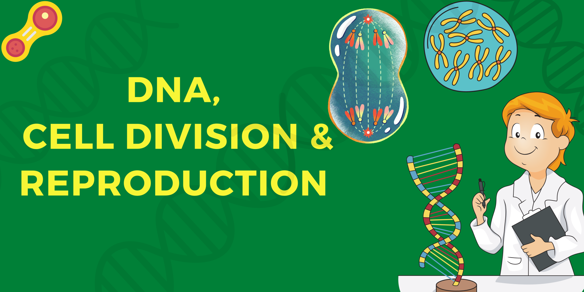 DNA, Cell Division & Reproduction