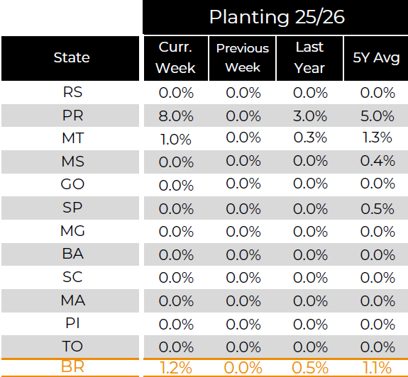 Planting in Brazil and the weather: what can we expect from the new ...