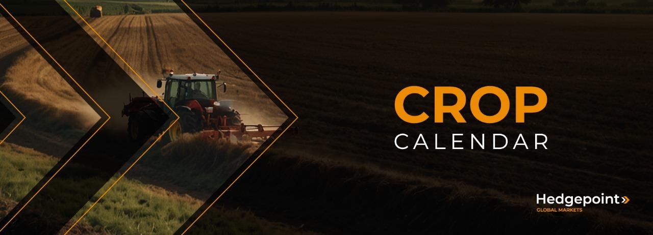 Global Crop Calendar