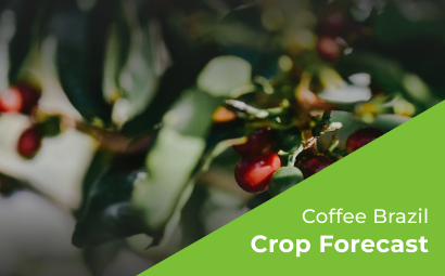 Crop Forecast: Coffee Brazil 2025/26