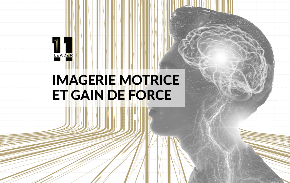 Influence de l’entraînement en imagerie motrice sur la force des ...