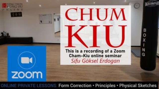 Online Wing Chun Chum-Kiu 尋橋 Seminar (Wing Tsun, Ving Tsun)