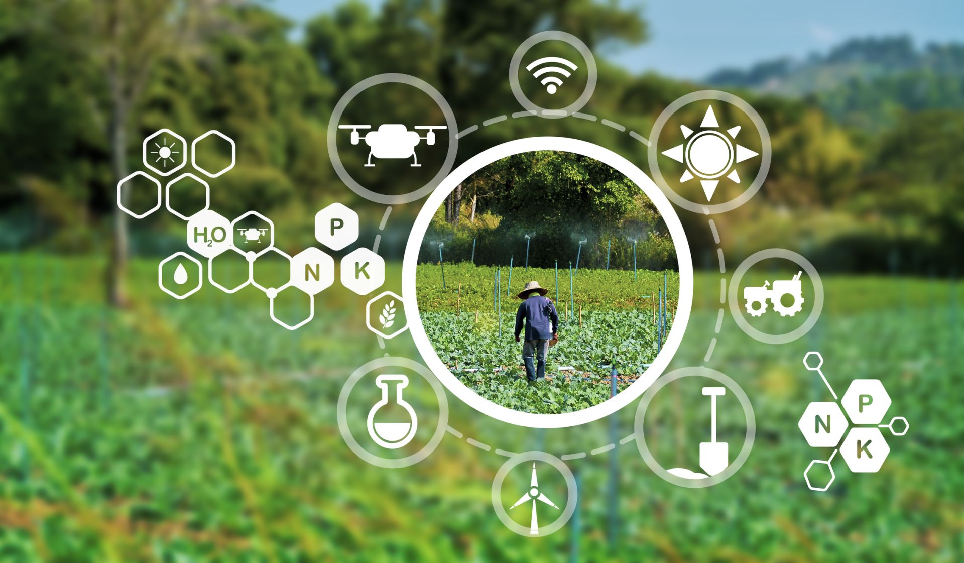 Agriculture 101: An Introduction to Key Concepts and Types