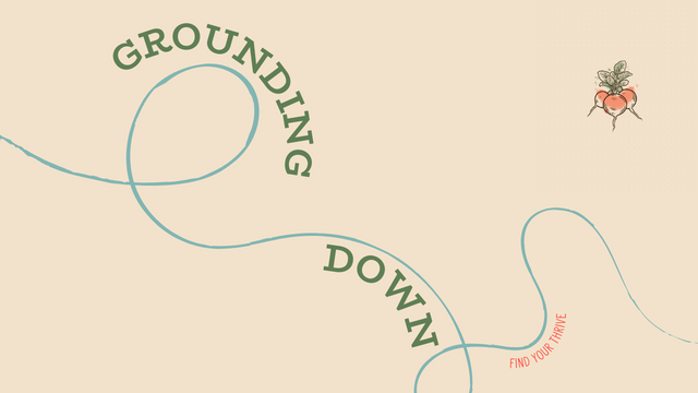 Module 1: Grounding Down