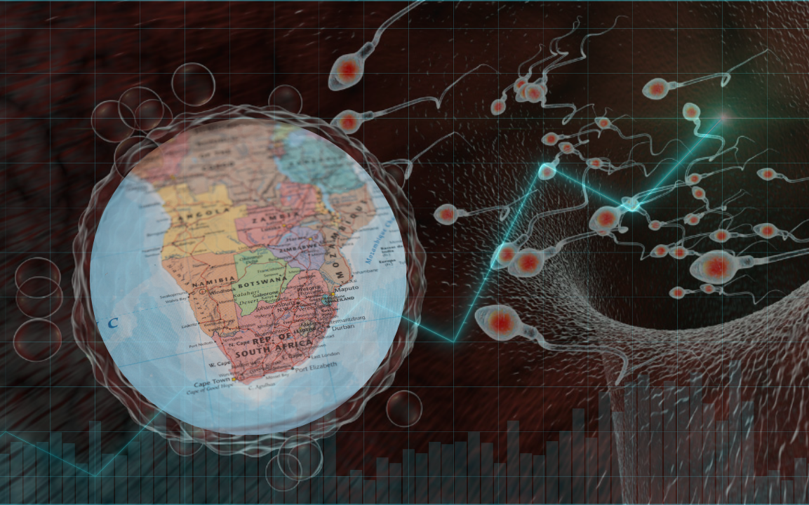 The Hidden Crisis: Declining Fertility in the Western World