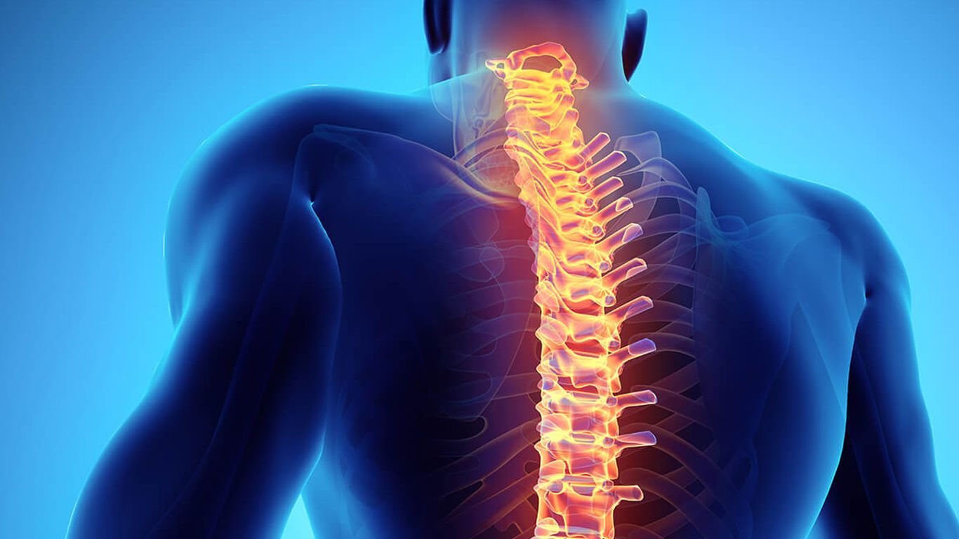 The Cervical & Thoracic Spine Examination & Treatment