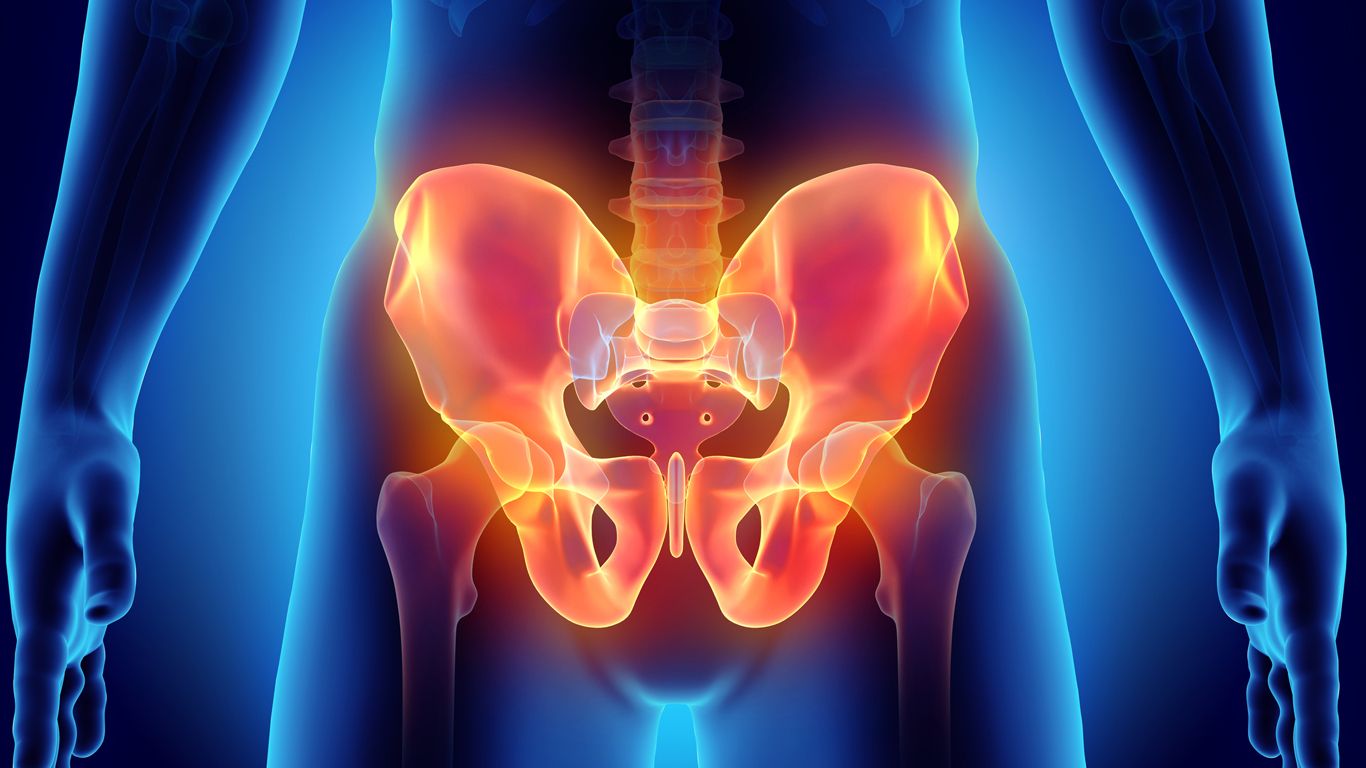 The Pelvis & Hip Examination, Treatment & Case Studies
