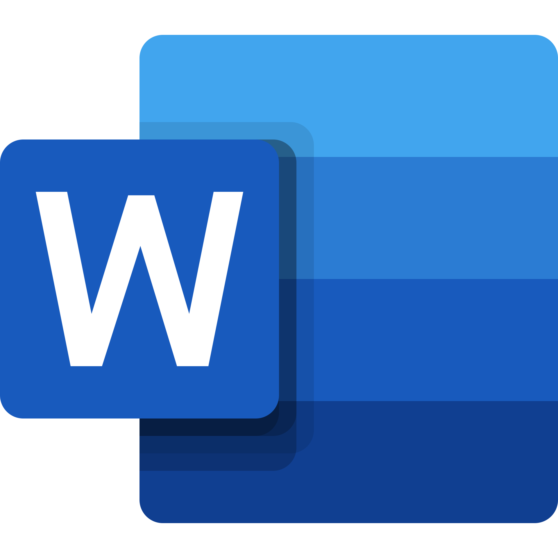 Microsoft Word Basics