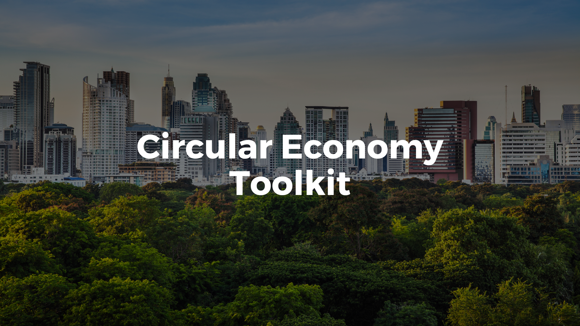 Circular Economy Toolkit