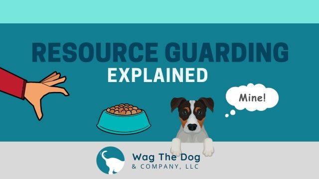 Resource Guarding Explained