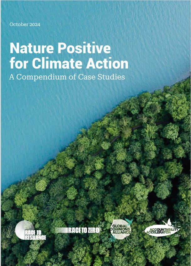 Embracing Nature-Positive Strategies for Climate Action