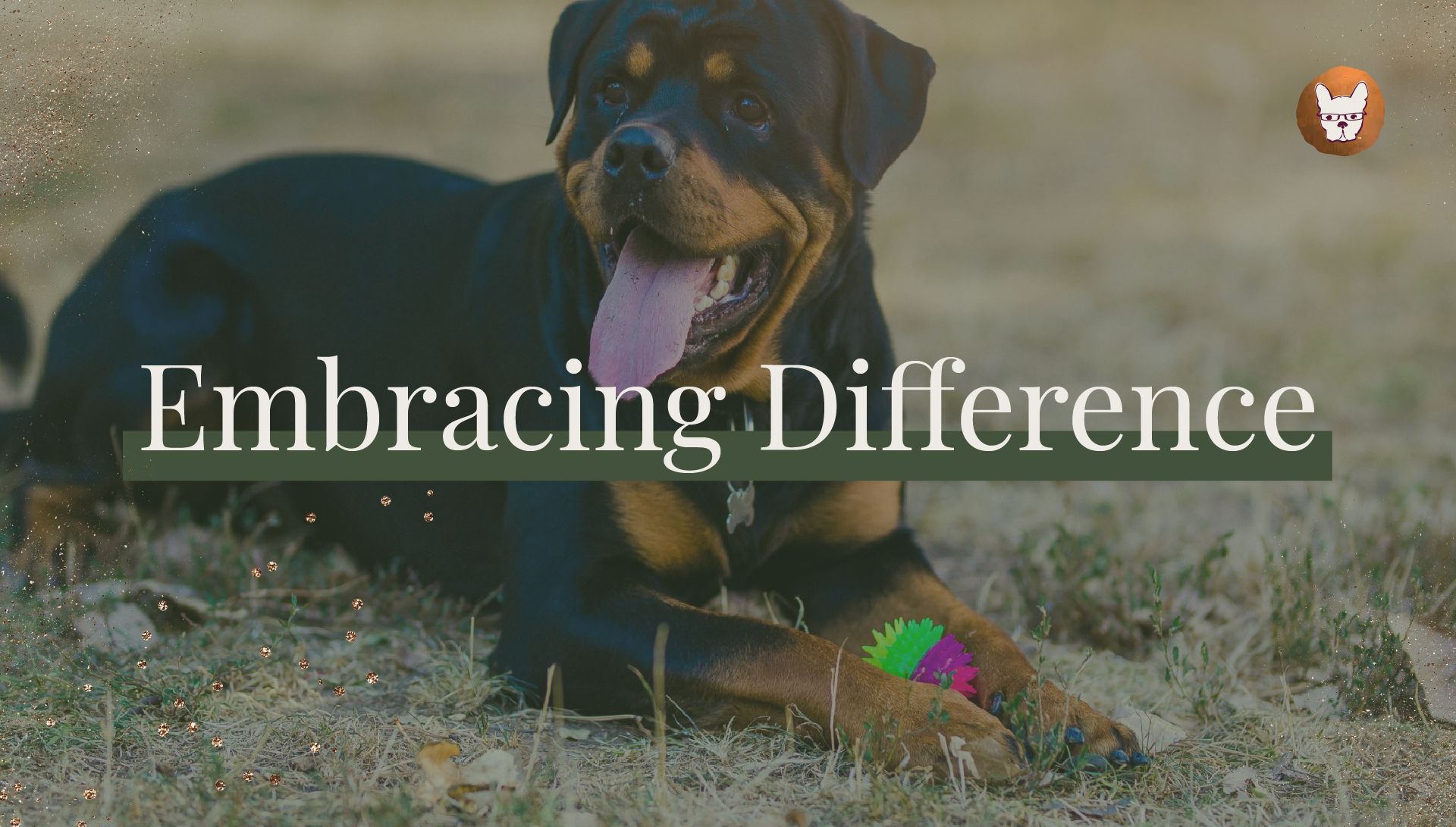 Embracing Difference