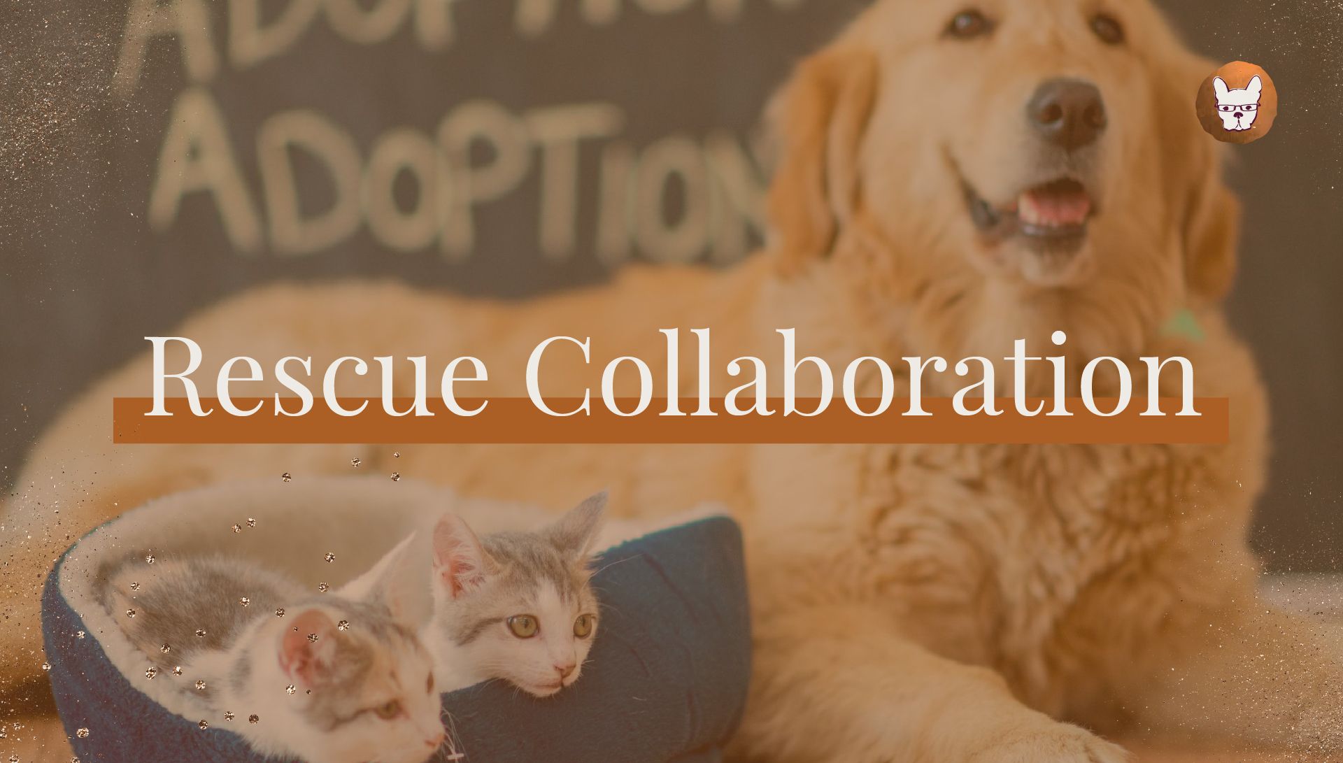 Rescue Collaboration