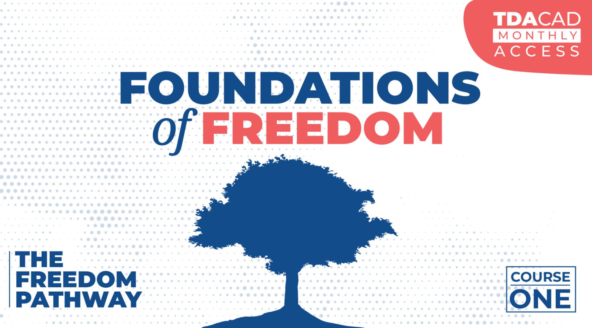 1. Foundations of Freedom