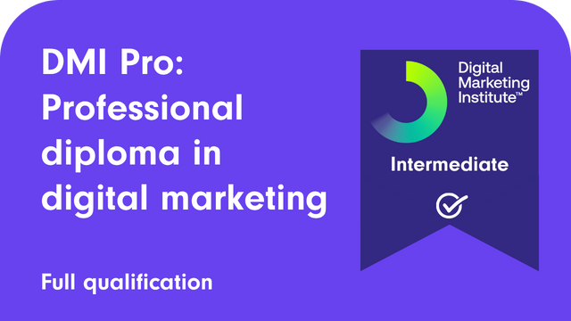 DMI Pro: Professional Diploma in Digital Marketing