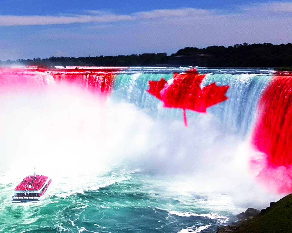 Safe Food for Canadians Regulations Import and Export Training