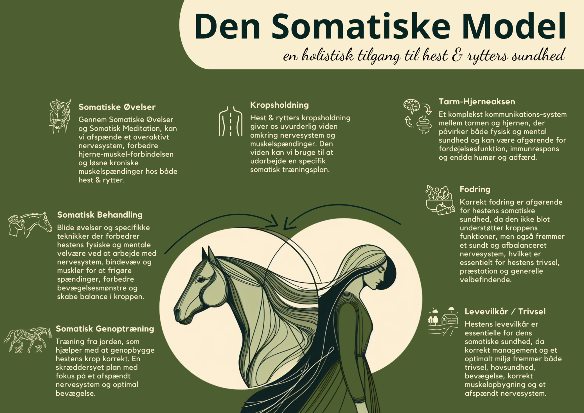 aSoma's Somatiske Model