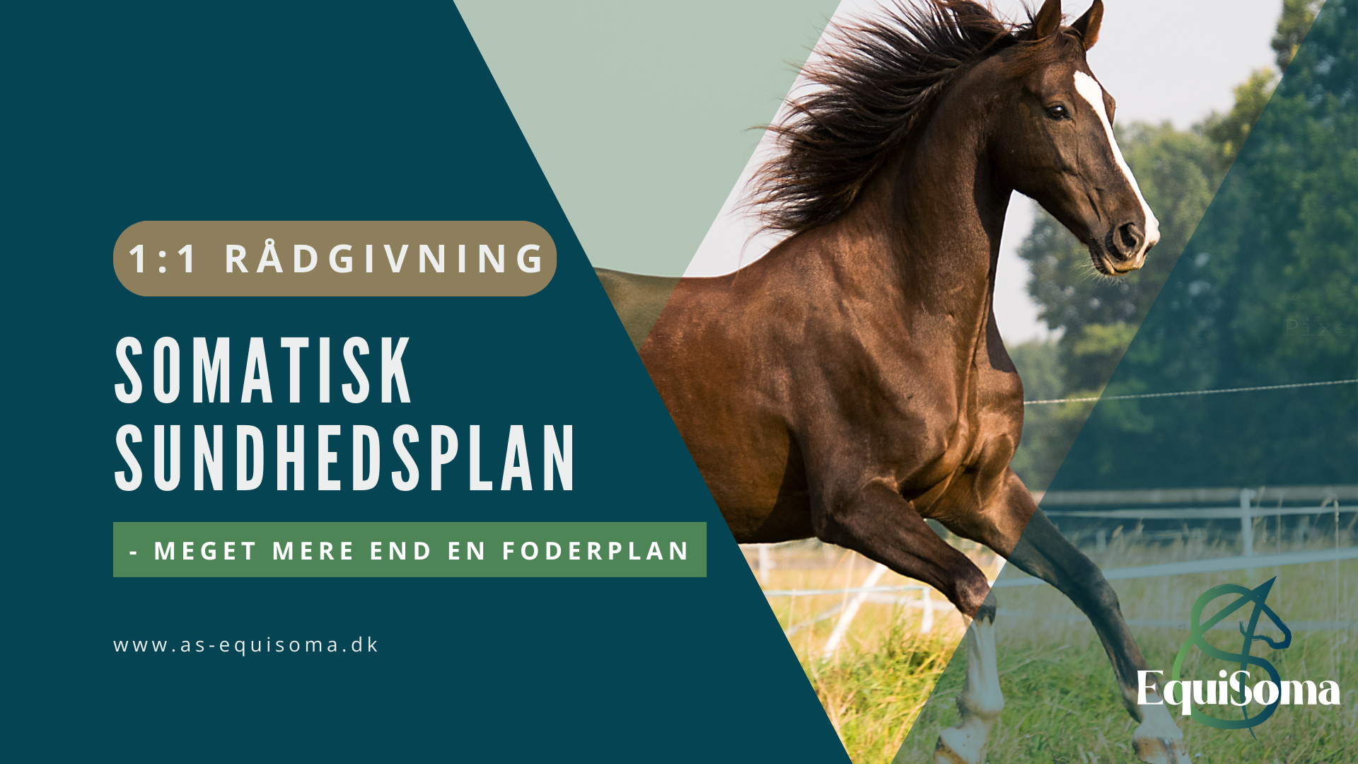 Somatisk Sundhedsplan