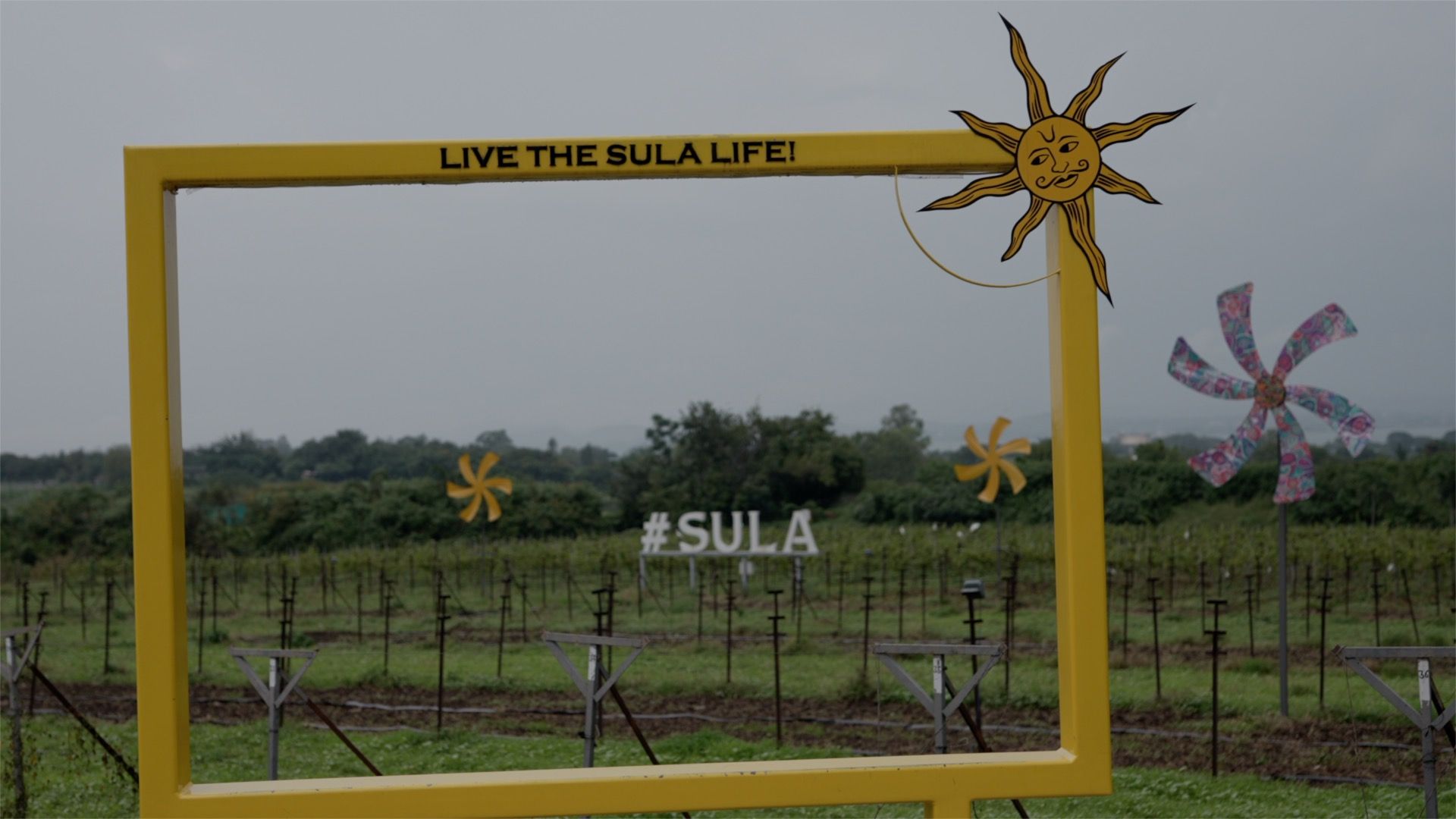 Sula Vineyards - 4 - Sula Embraces Sustainability