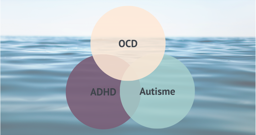 Ny artikel om autisme, ADHD og OCD