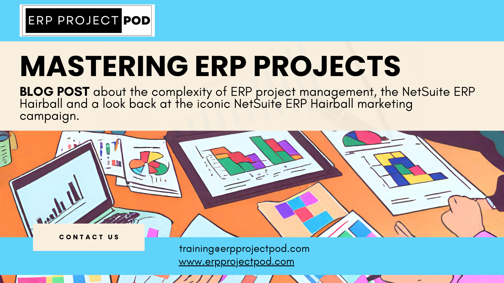 Erp Project Management Hairball