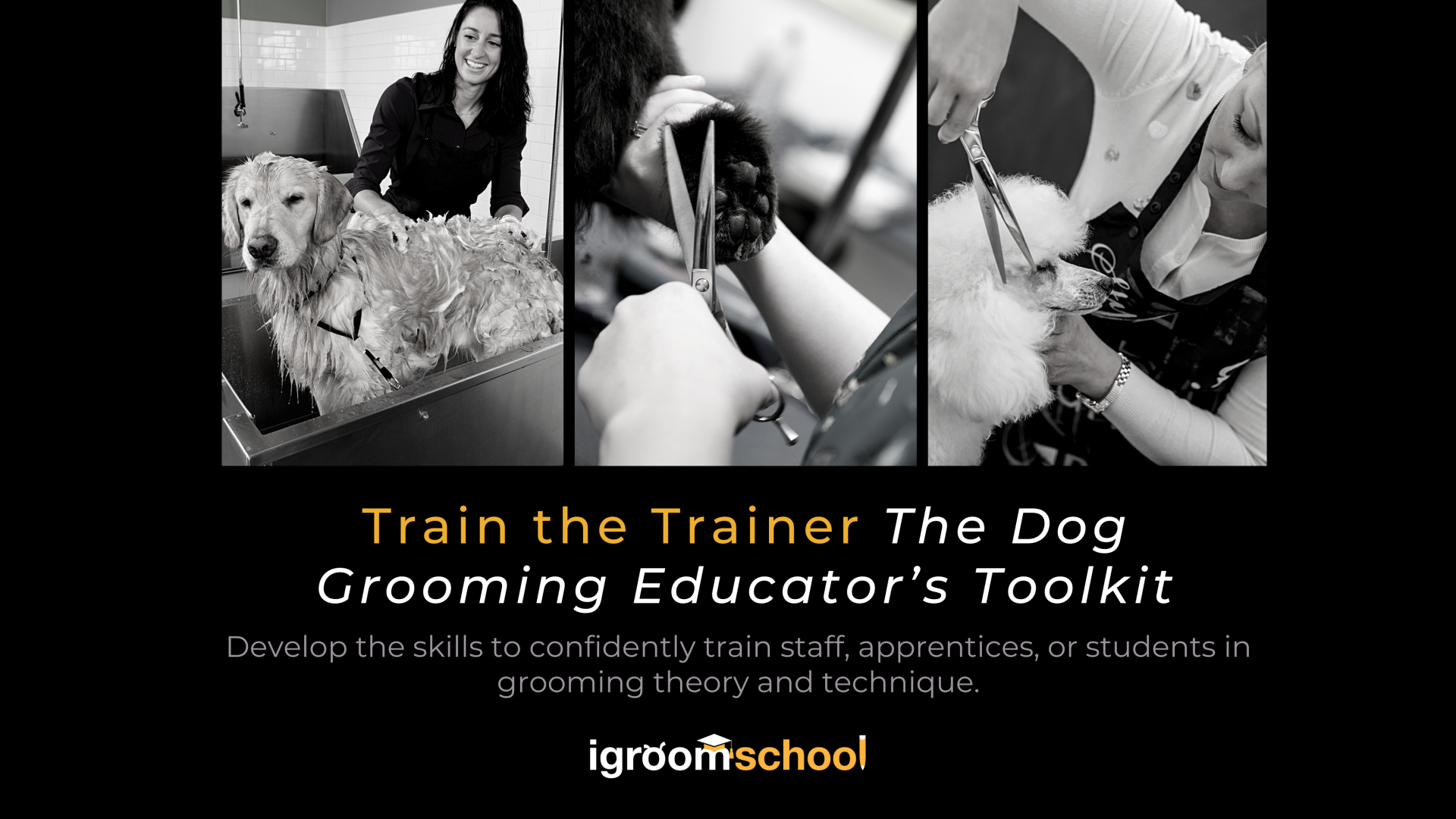 Train the Trainer | Dog Grooming Educators