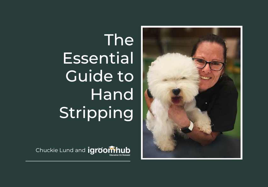 The Essential Guide to Hand Stripping | Online Dog Grooming Course ...