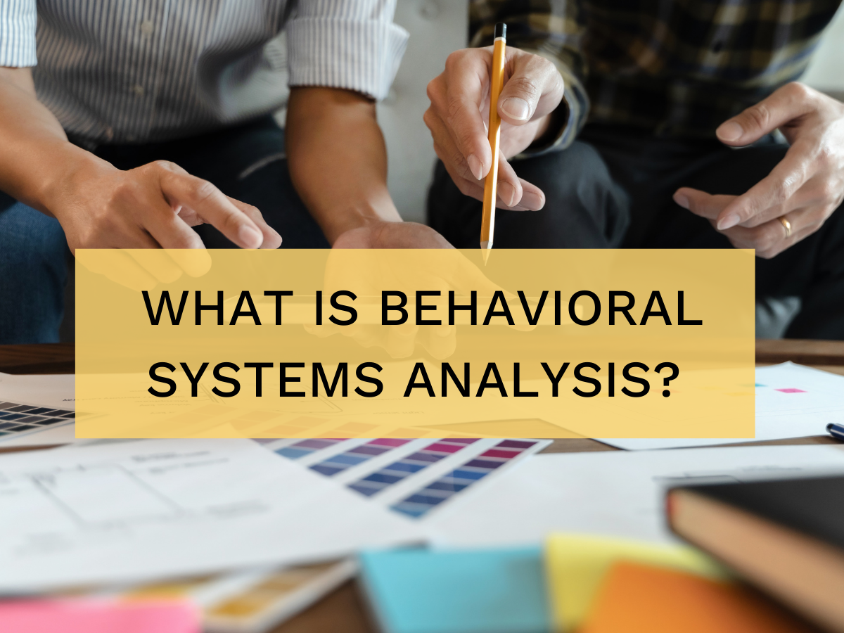 What is Behavioral Systems Analysis?