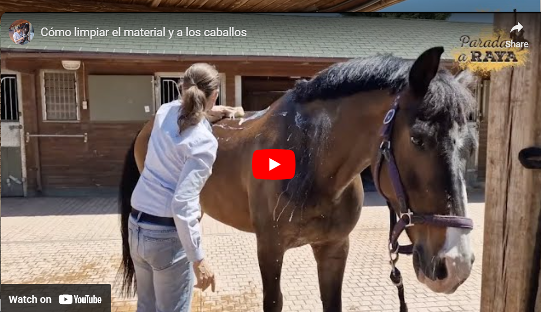 Cómo limpiar el material y a los caballos