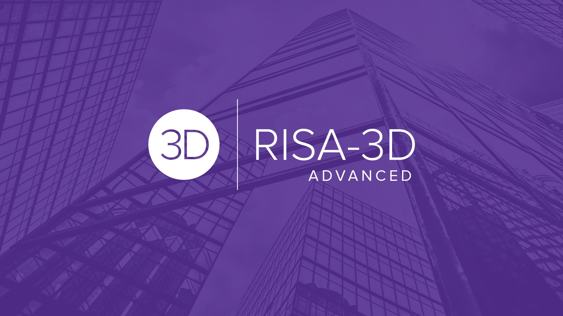 RISA-3D Advanced Topics