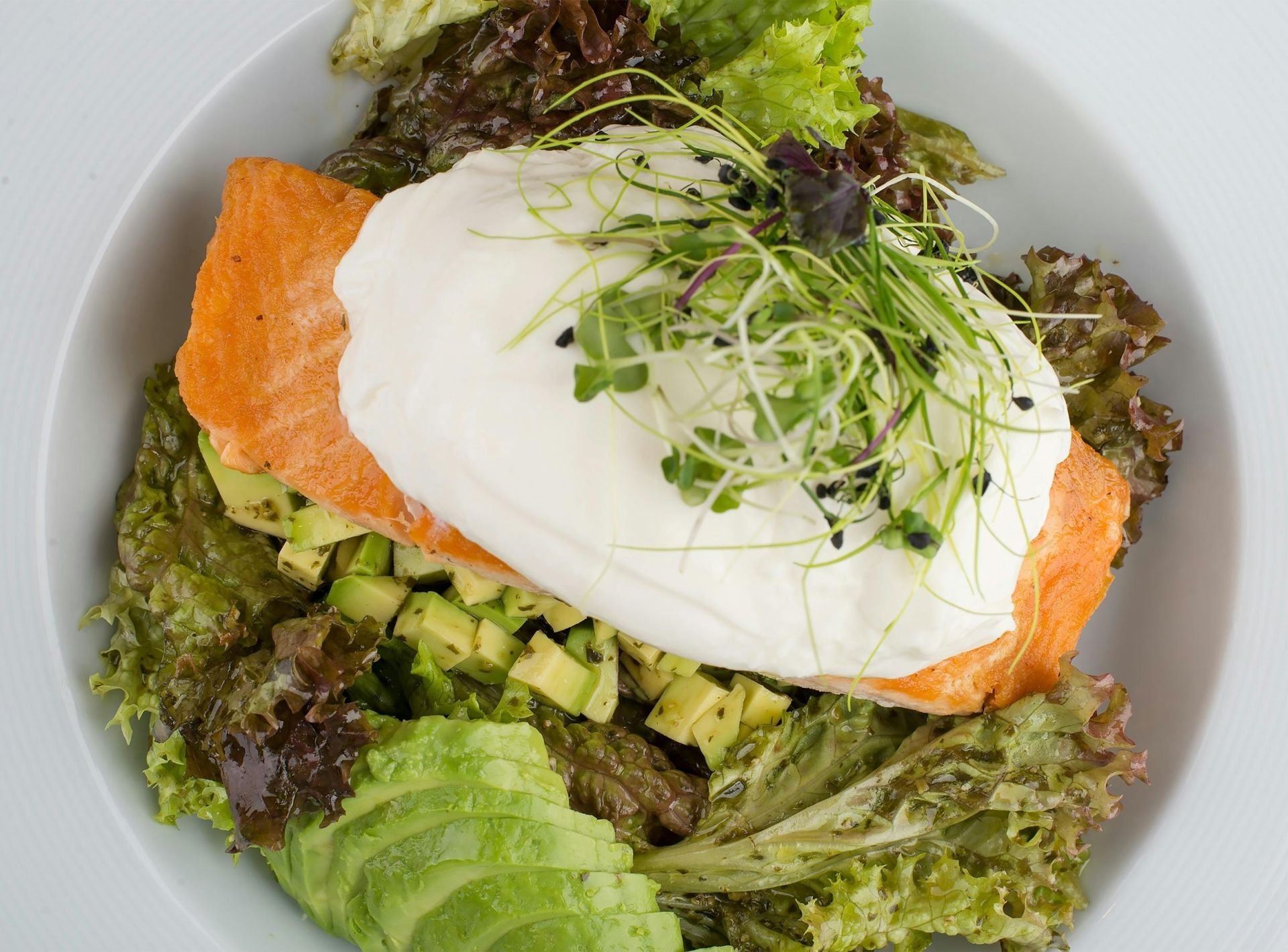 My Favourite Fish Recipes