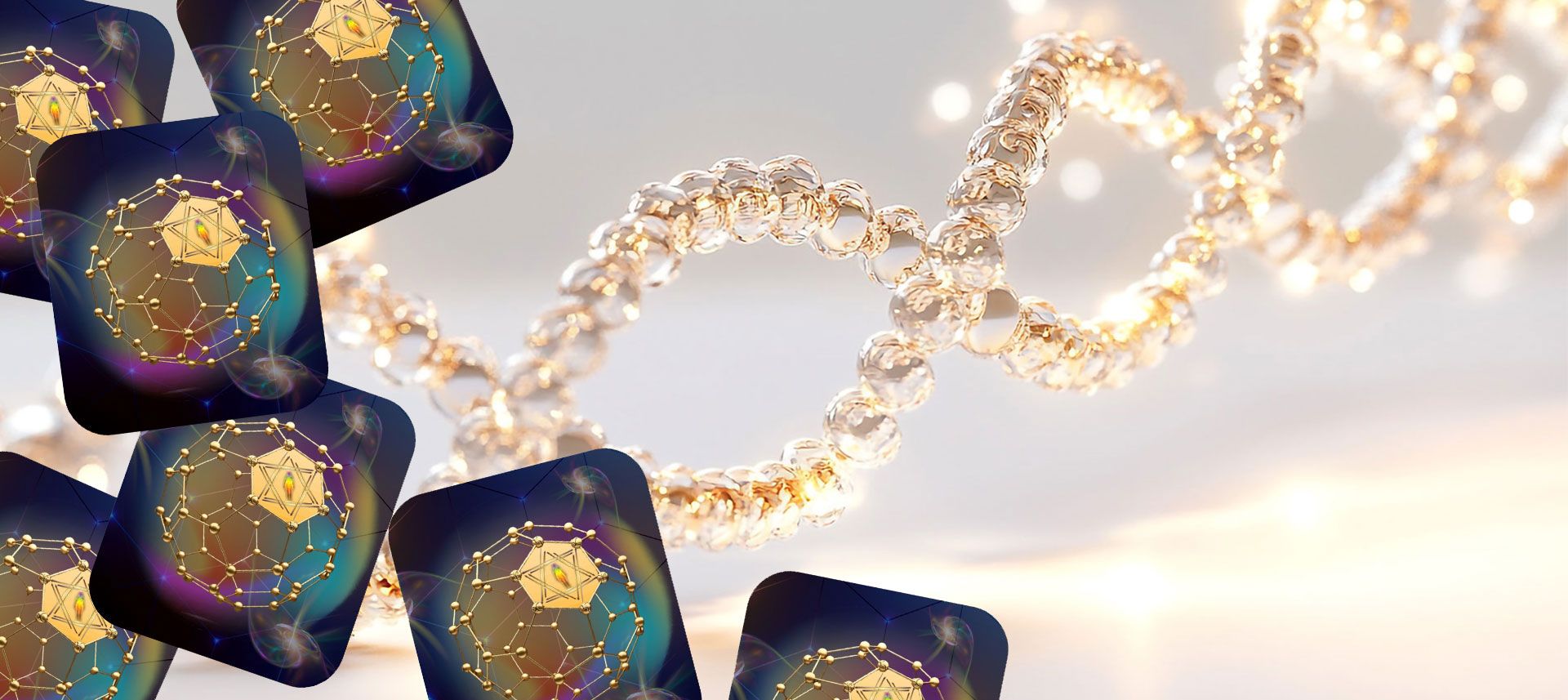 DMT™ Card Certification