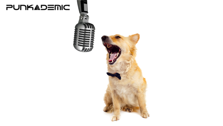 Ear Training & Aural Skills