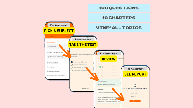 VTNE® Pre-Assessment