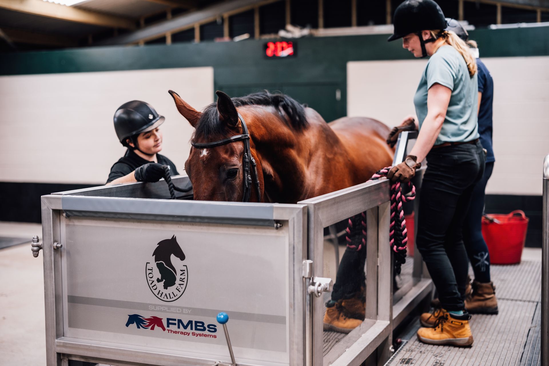 Level 4 Diploma in Applied Equine Hydrotherapy