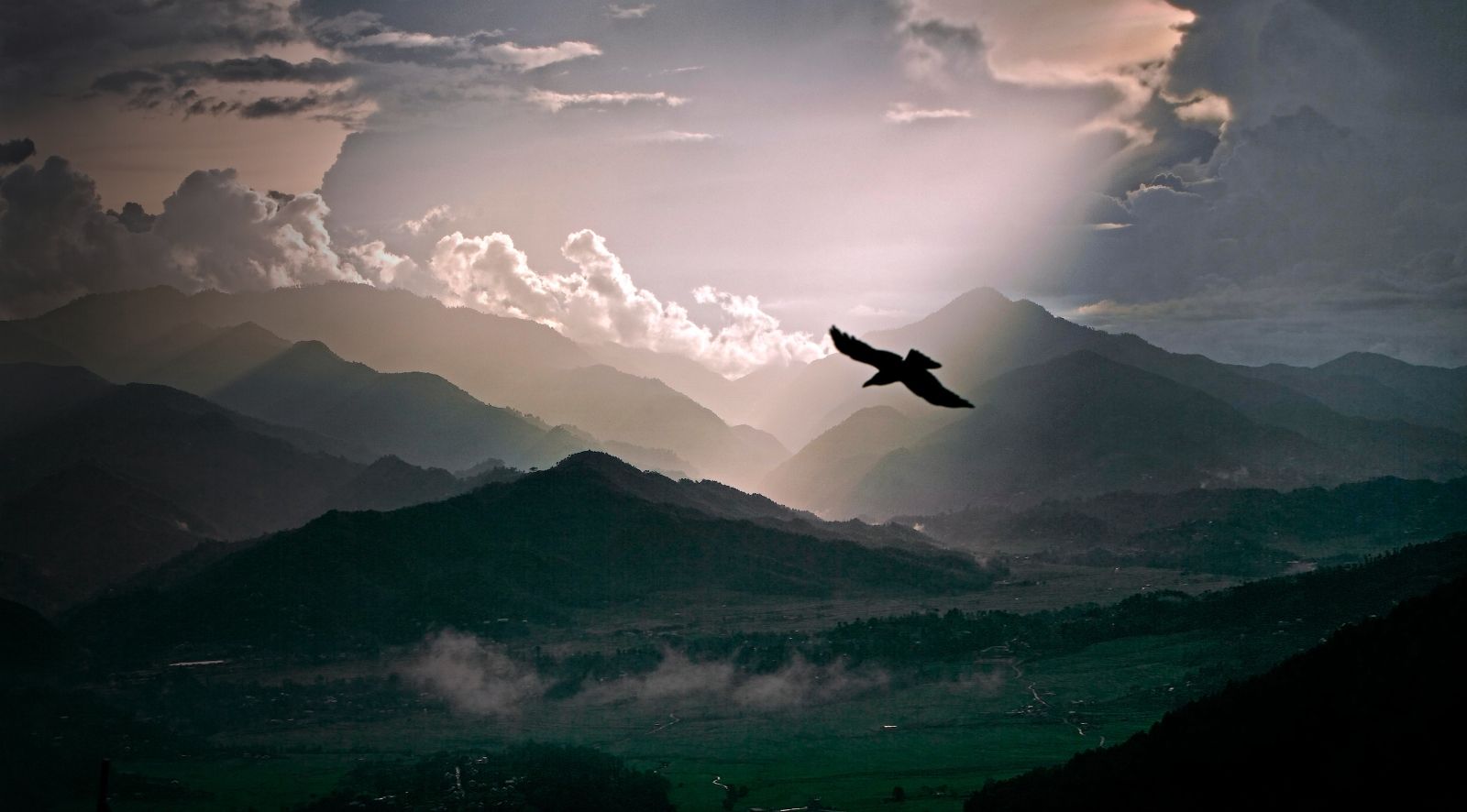 Path of Liberation Level 2 Course – Vajrayana Online