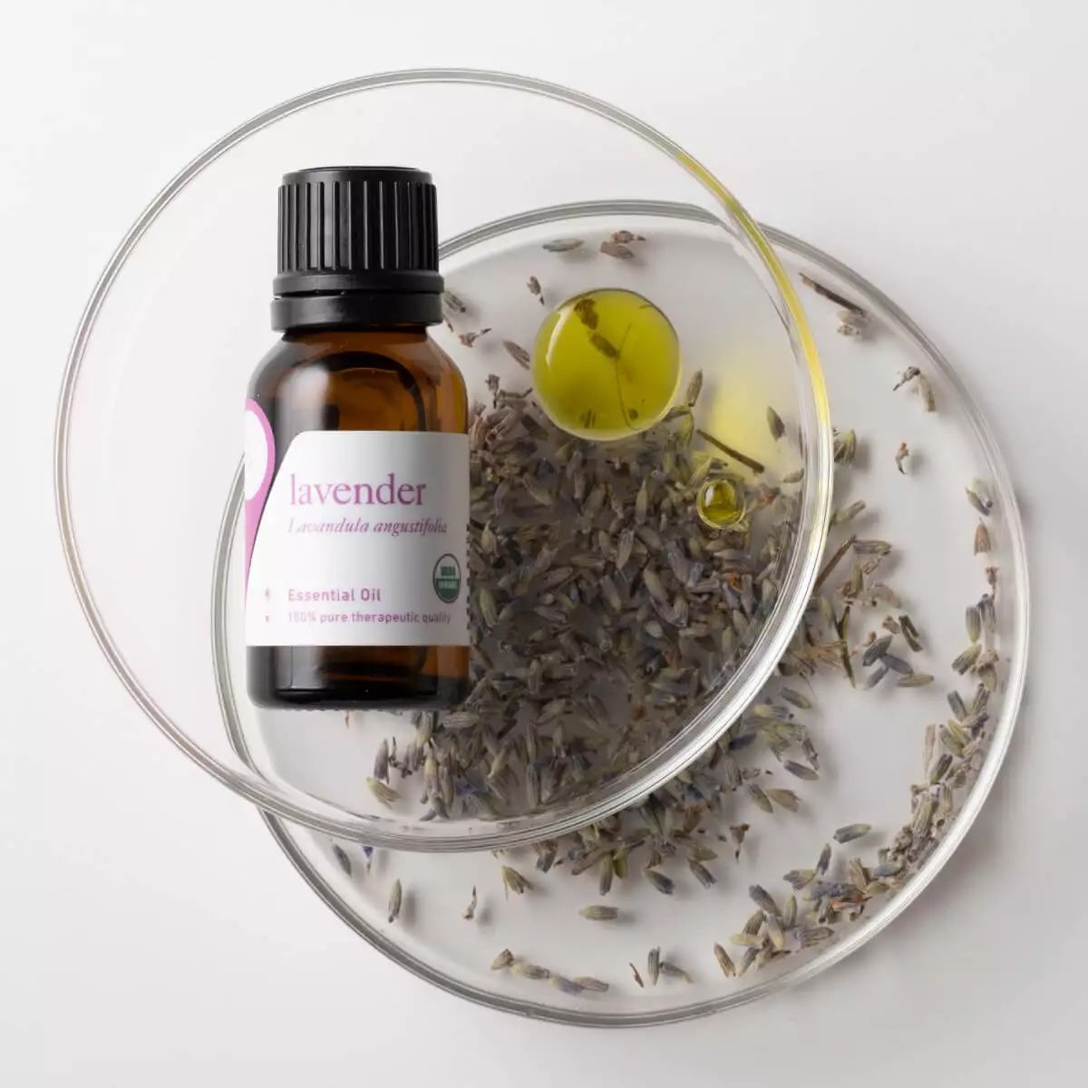 Lavender Spotlight Class