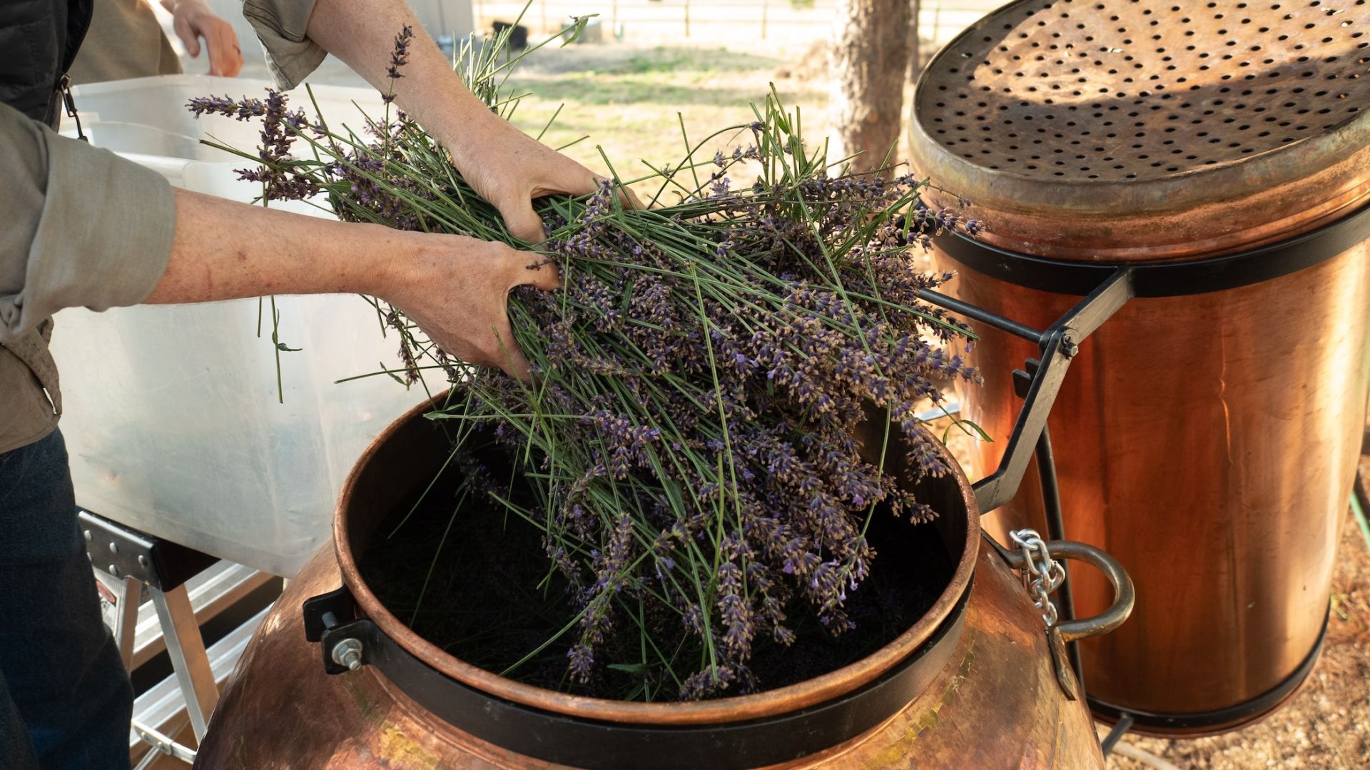 Smarter Essential Oil Swaps LIVE