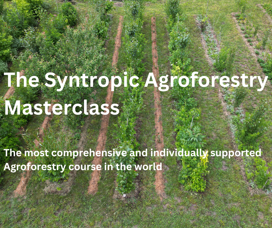 Syntropic Agroforestry Masterclass