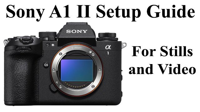 Sony A1 Mark 2 Complete Wildlife Setup Guide for Still Photography and ...