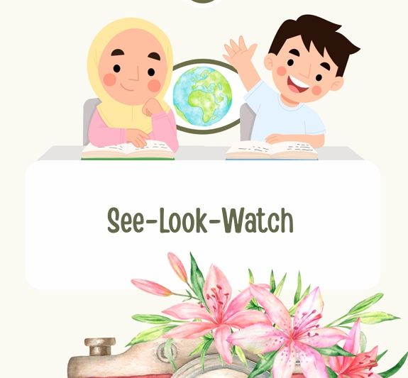 5D Lesson 16: See-Look-Watch