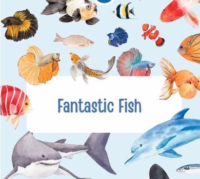 5D Lesson 3: Fantastic Fish