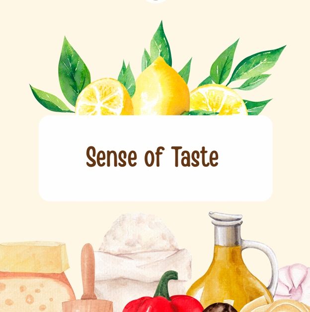 5D Lesson 29: Sense of Taste