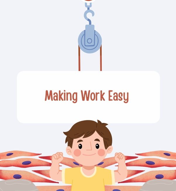 5D Lesson 20: Making Work Easy