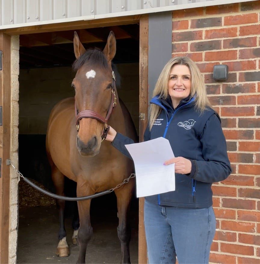 Enhancing Your Equine Massage Therapy with Therapeutic Ultrasound